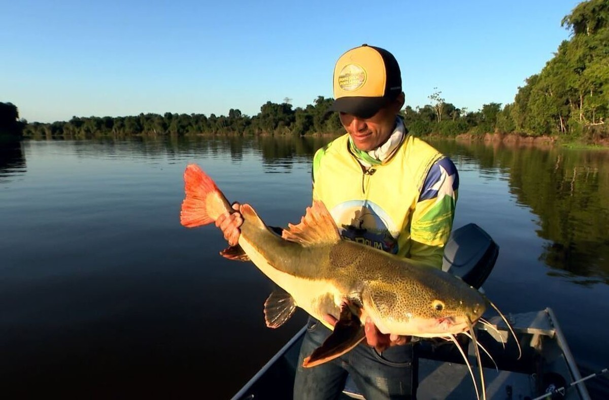 Peixes movimentam a vida no Rio Guaporé | Terra da Gente | G1