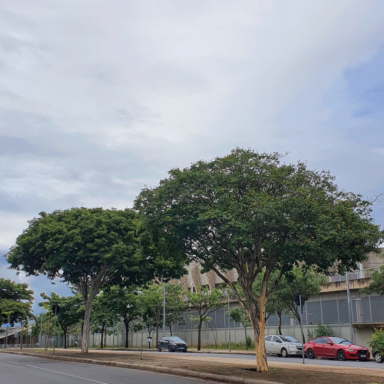 Aquecimento global: pesquisa da UFMT revela que apenas 26% da 'cidade ...