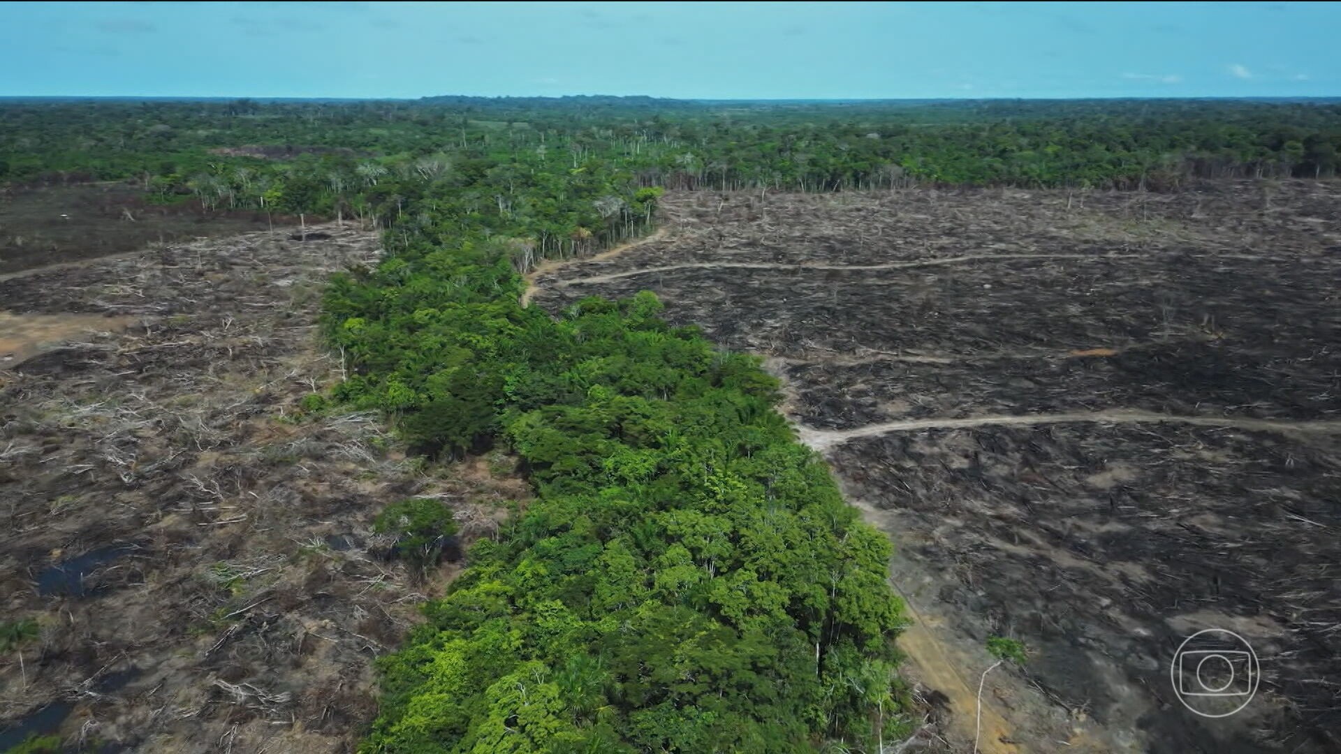 Desmatamento na Amazônia volta a subir após quedas | G1