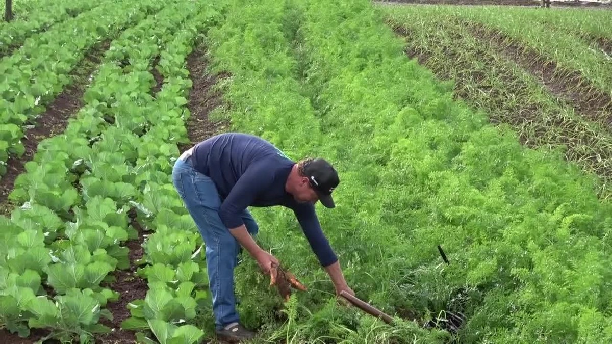 Agricultura sustentável é tema de evento em Francisco Beltrão ...
