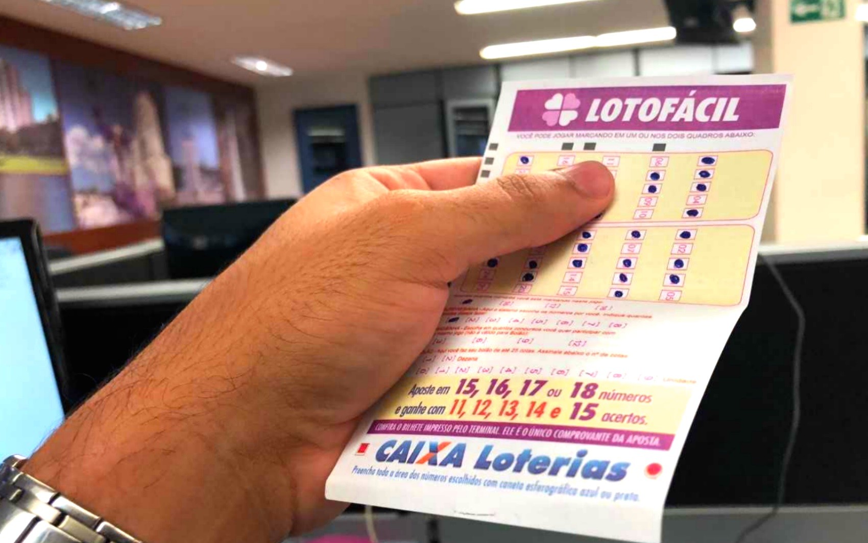 Lotofácil: aposta de Goiás acerta todos os números e leva mais de R$ 1 ...