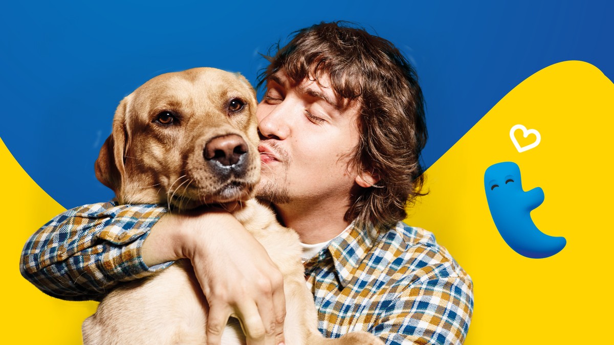 Petz. A maior rede de pet shop do Brasil chega em São Carlos | Especial ...