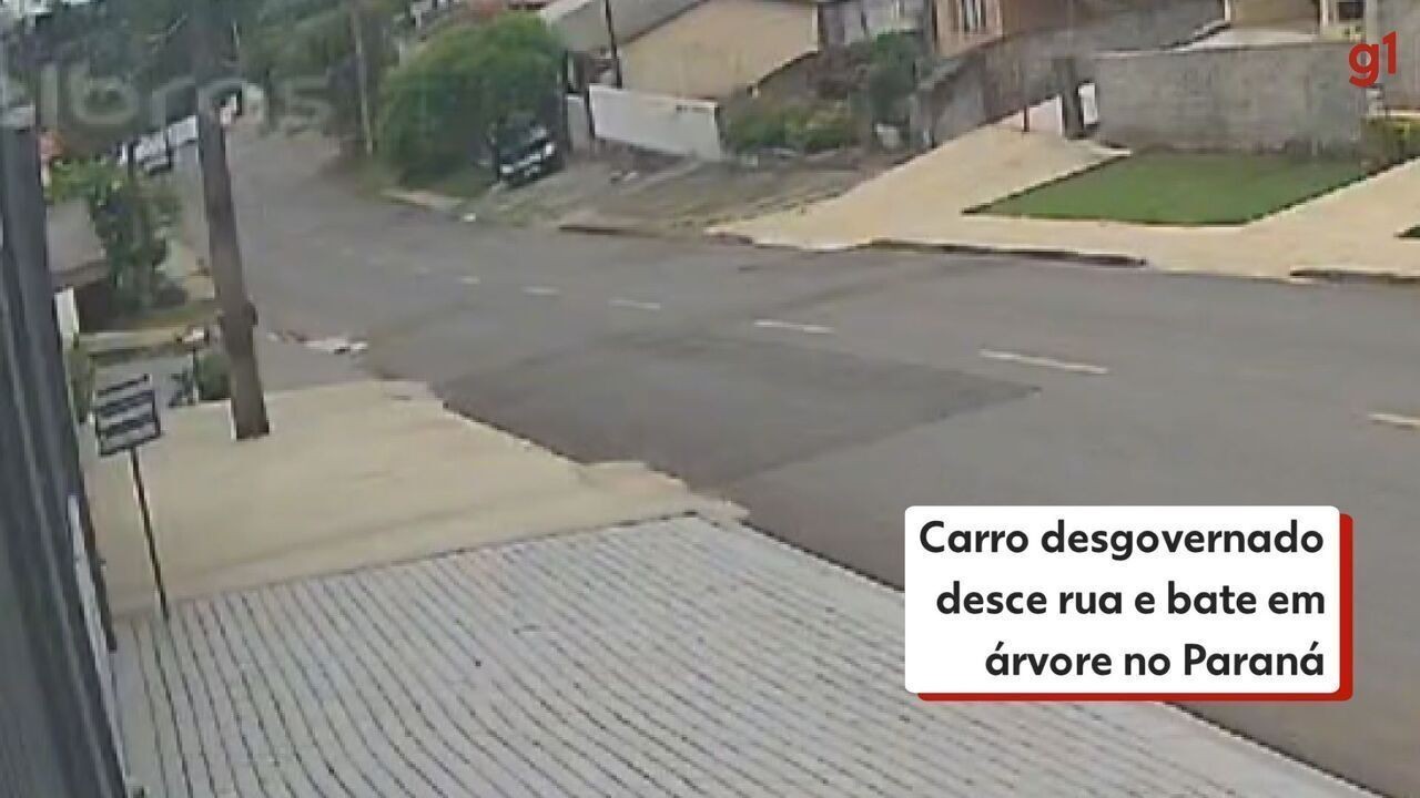VÍDEO: carro desgovernado desce rua de ré e só para após derrubar árvore, no Paraná | Campos ...