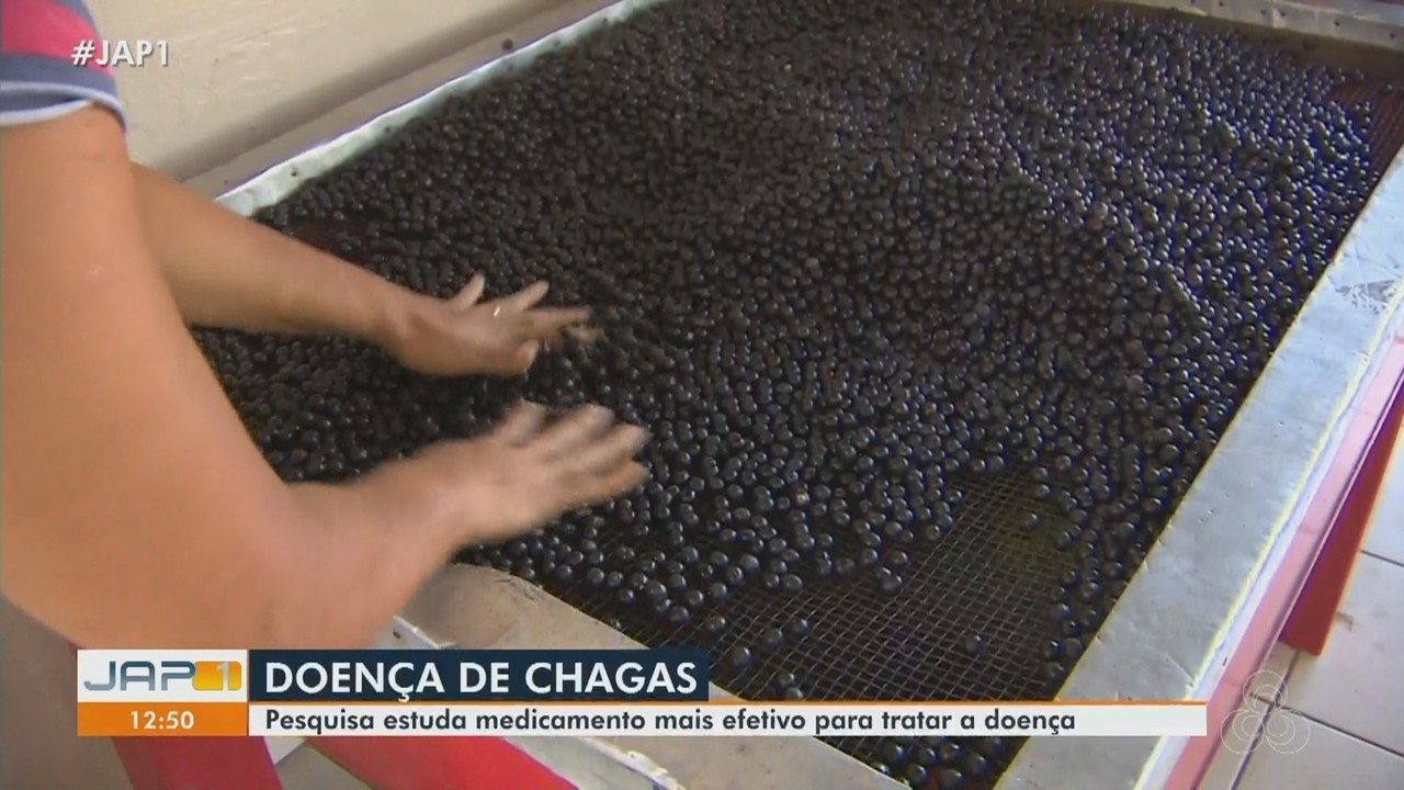 Pesquisa do HU-Unifap foca em tratamento contra a doença de chagas ...