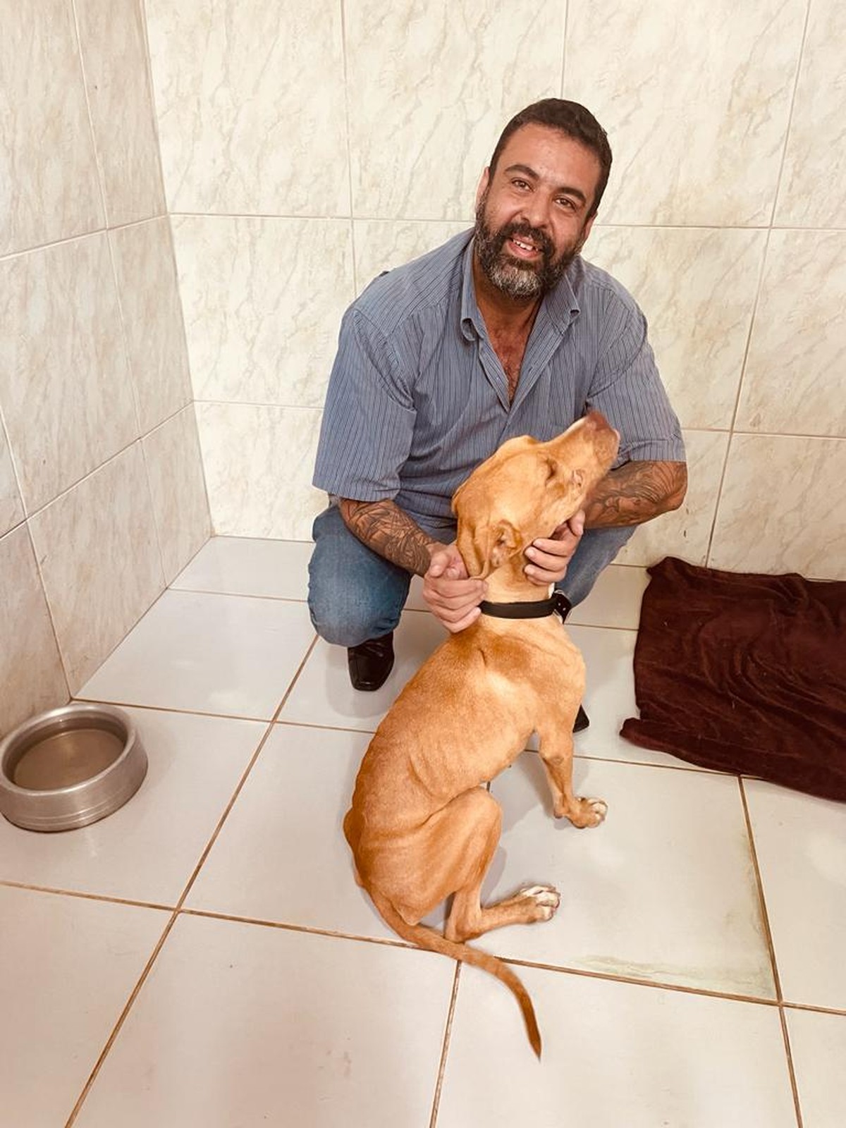 Cachorro resgatado desnutrido e com sinais de maus-tratos ganha 1,5 kg ...