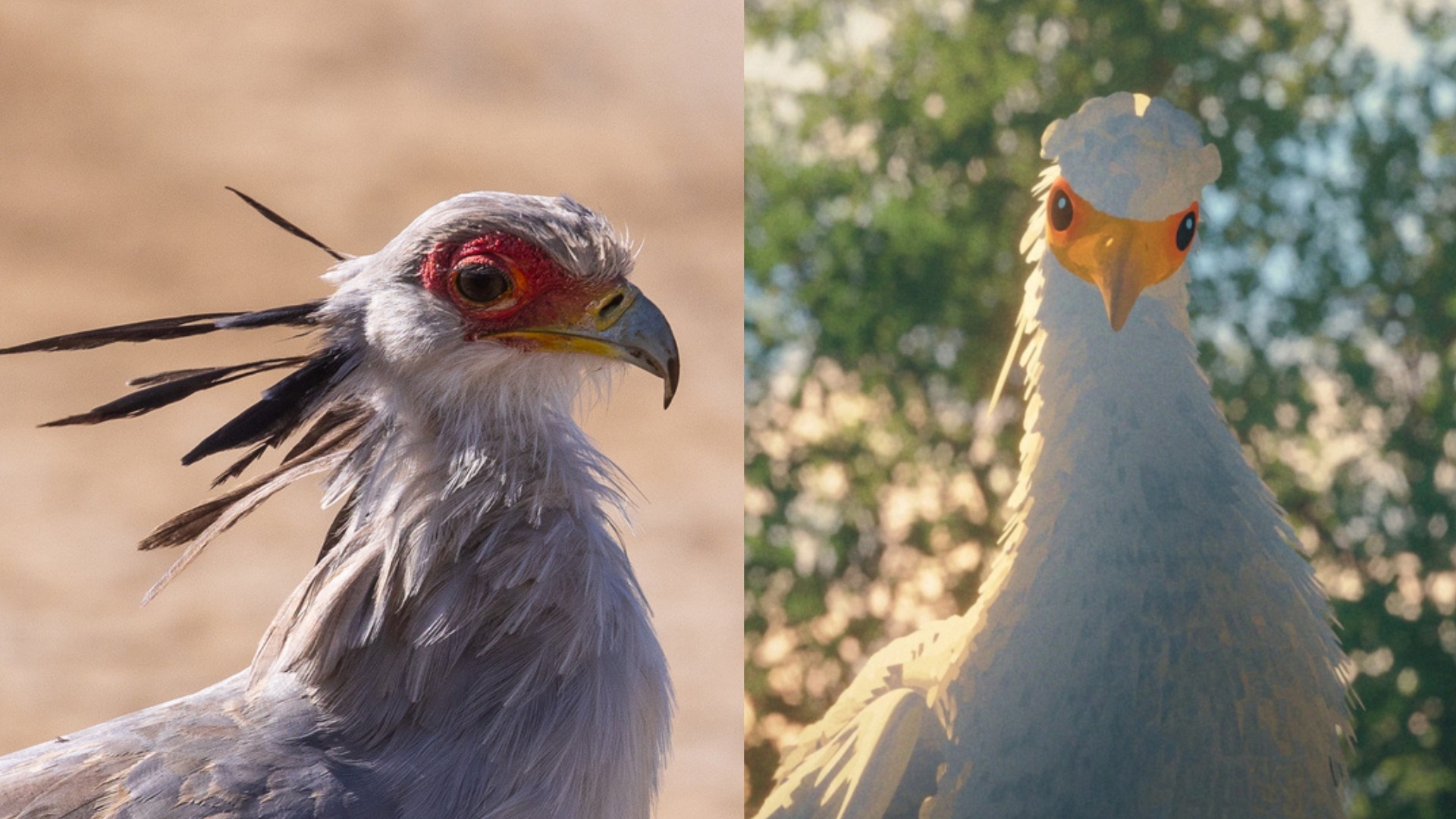 Filme Flow: conheça a ave coadjuvante na história do felino que venceu ...