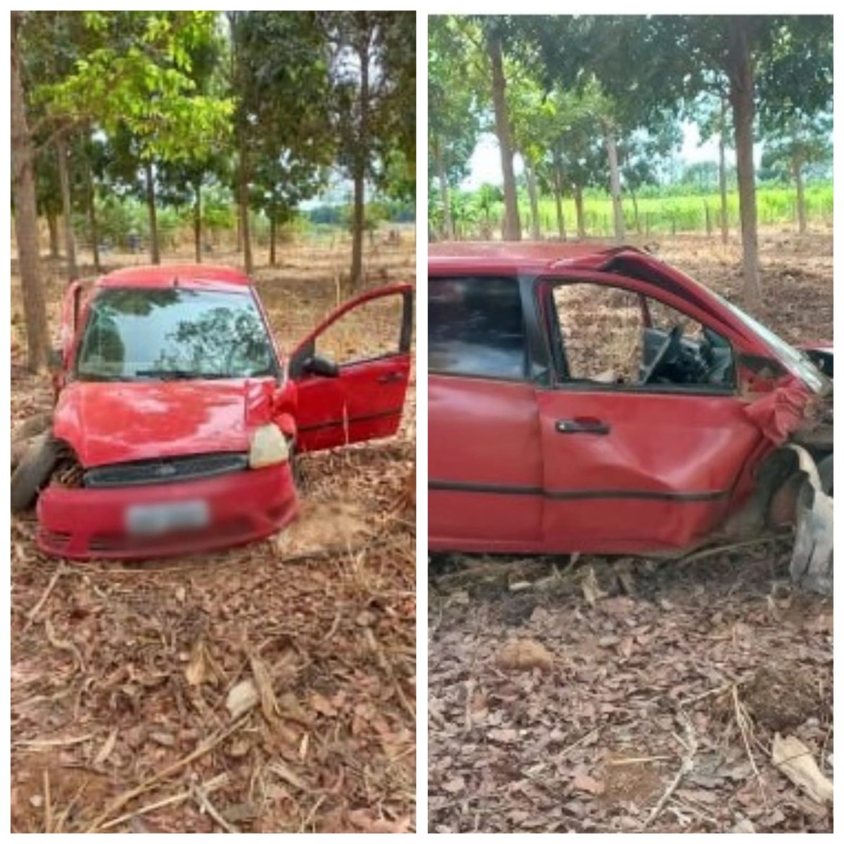 Motorista morre após carro bater em árvore e a suspeita é de que ele tenha passado mal | Grande ...