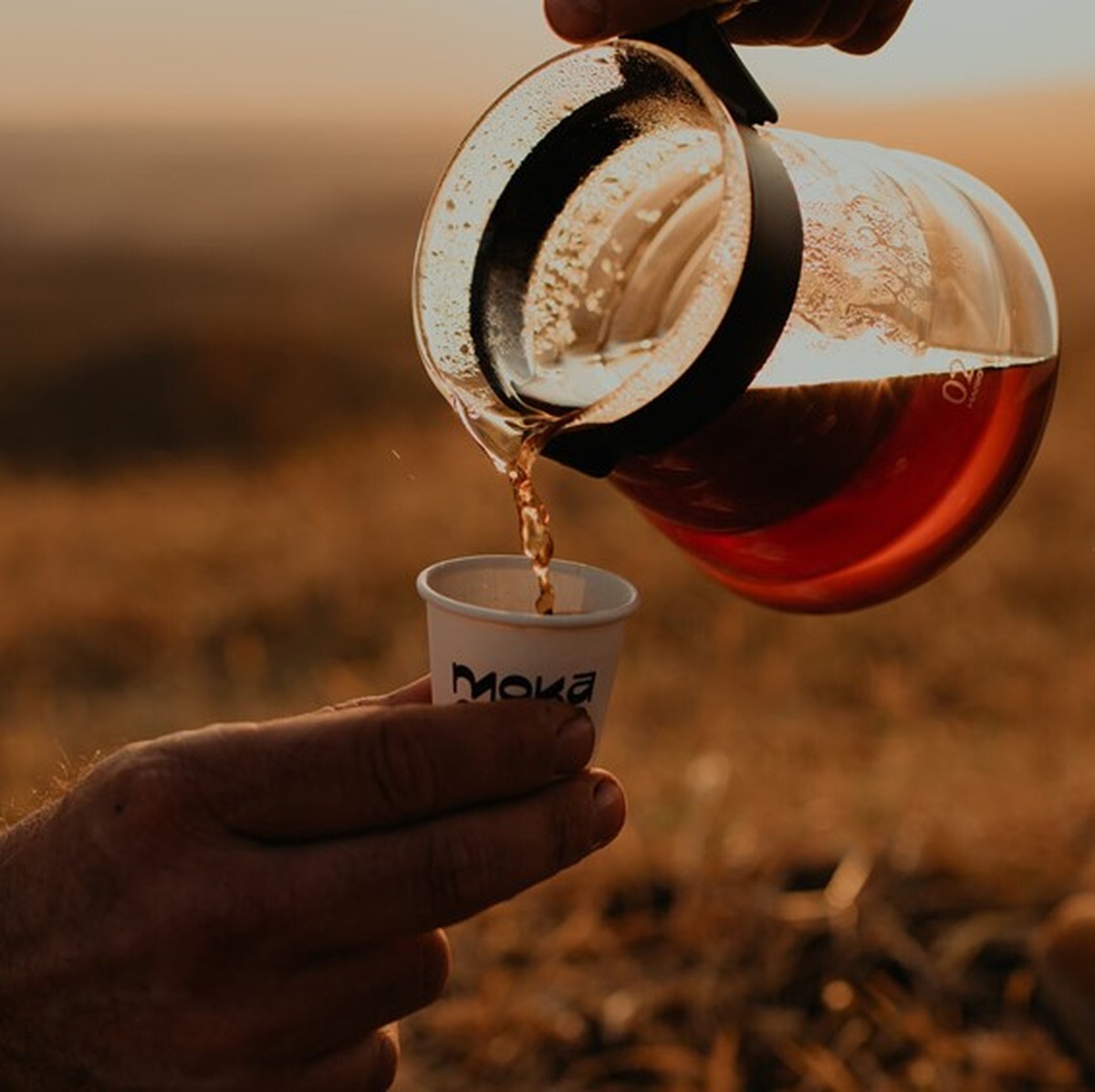 Descubra como identificar o sabor do café especial | OS CAÇADORES DO ...