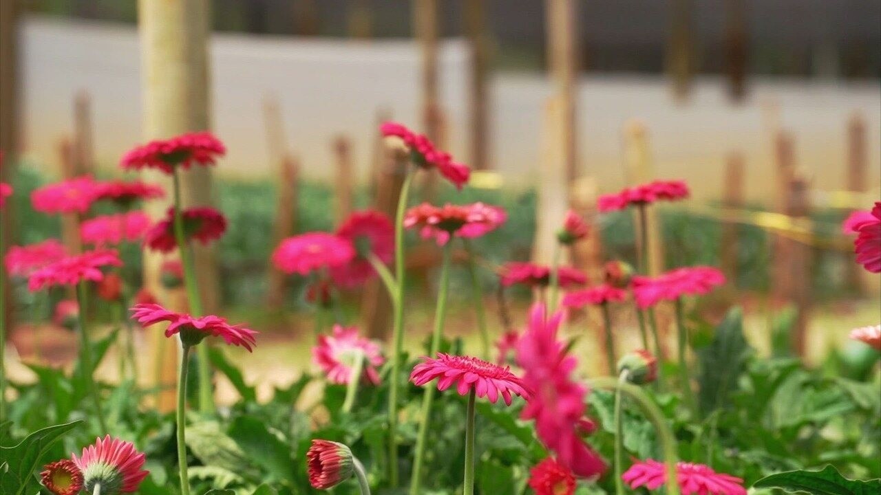 'Resiliência feminina': exposição em Brasília reúne fotos premiadas ...