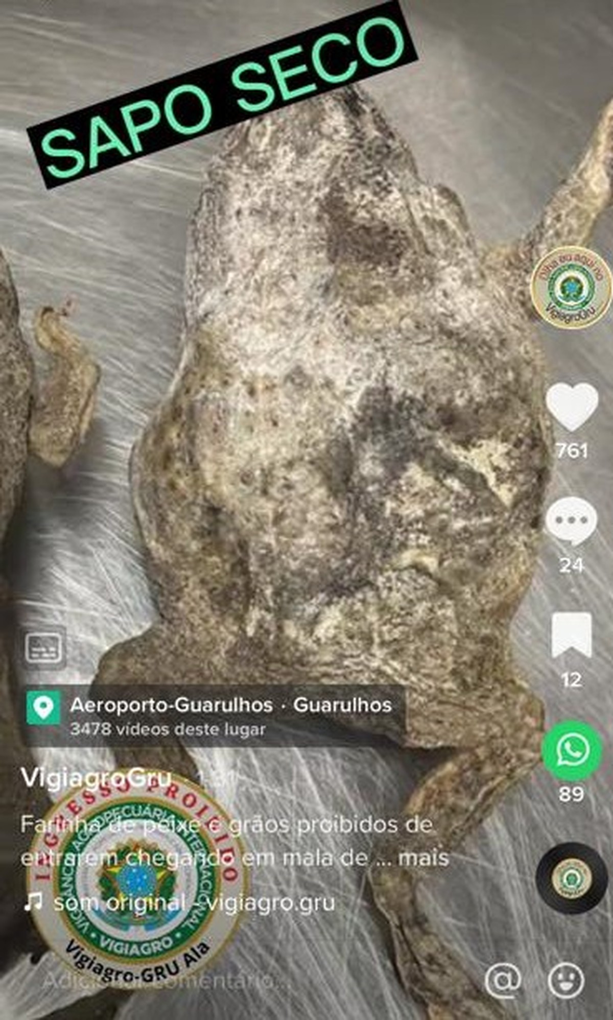 Sapos secos, chifres, caramujos gigantes, presunto e cachorros fofinhos ...