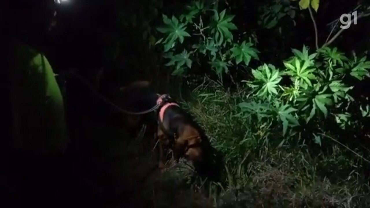Caso Lara: o que se sabe e o que falta esclarecer sobre o ...