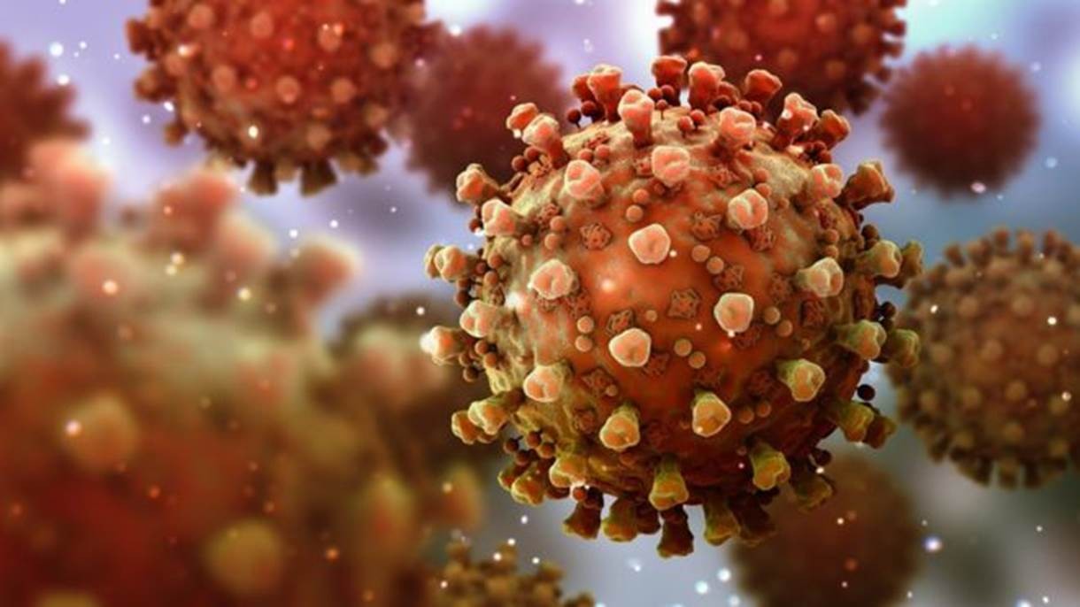 Do vírus atenuado ao RNA: entenda como funcionam as vacinas e por que ...