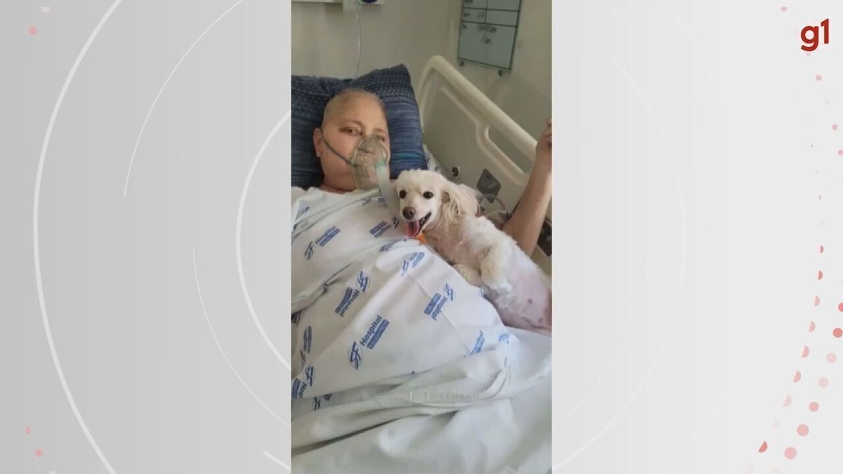VÍDEO: paciente com câncer recebe visita de poodle e tem melhora em ...