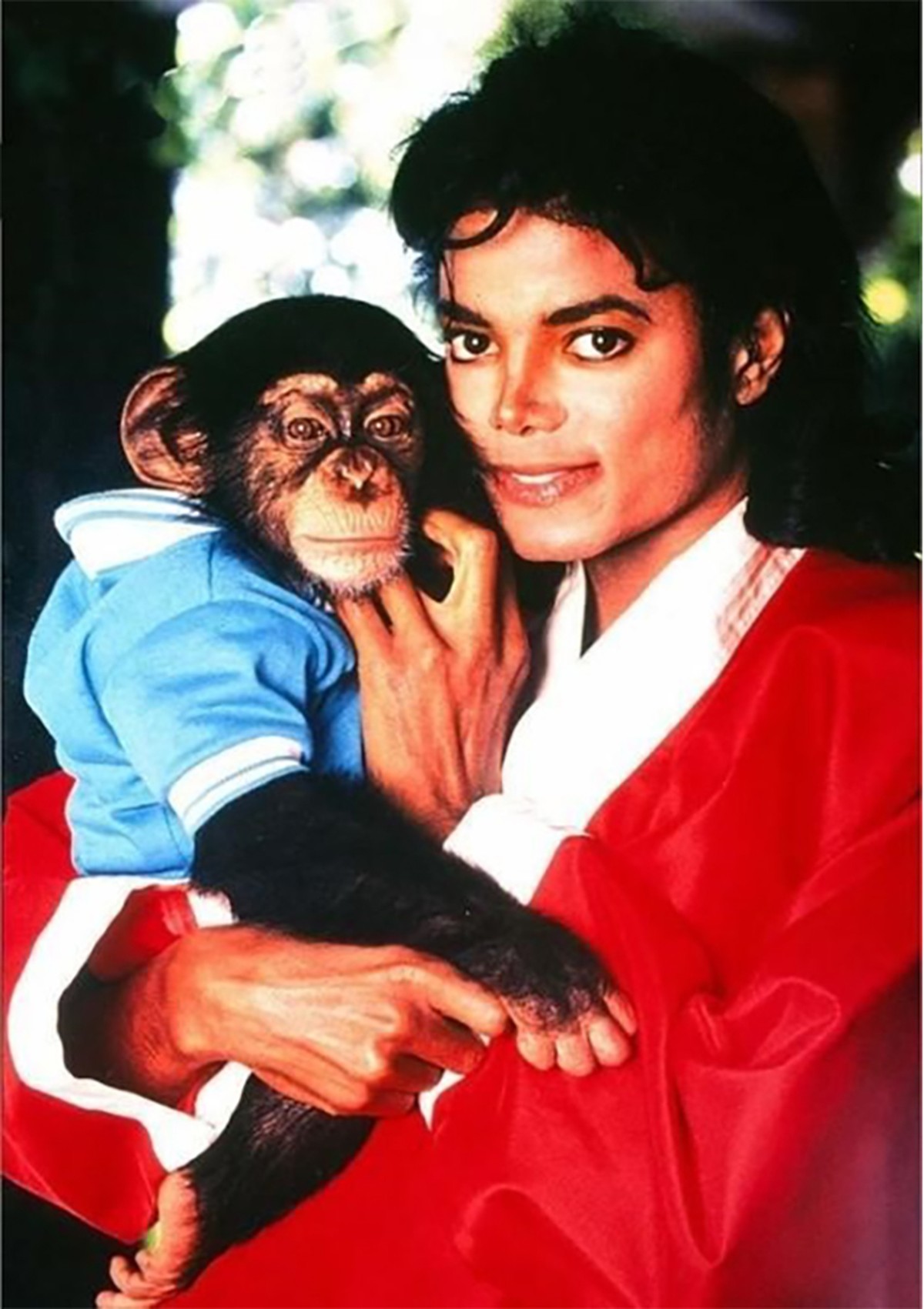 Chimpanzé de Michael Jackson recebe R$ 163 mil por ano após a morte do ...