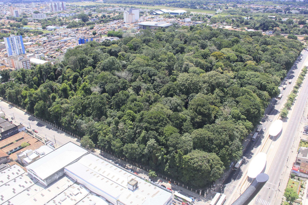 Bosque Rodrigues Alves Comemora 140 Anos Com Programação Especial Em