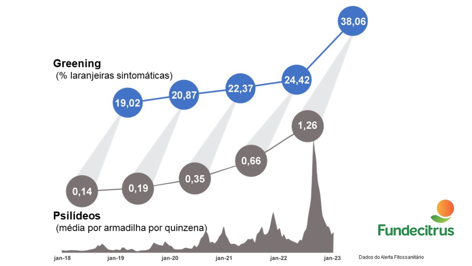 Pior doença da citricultura não tem cura e precisa da união dos ...