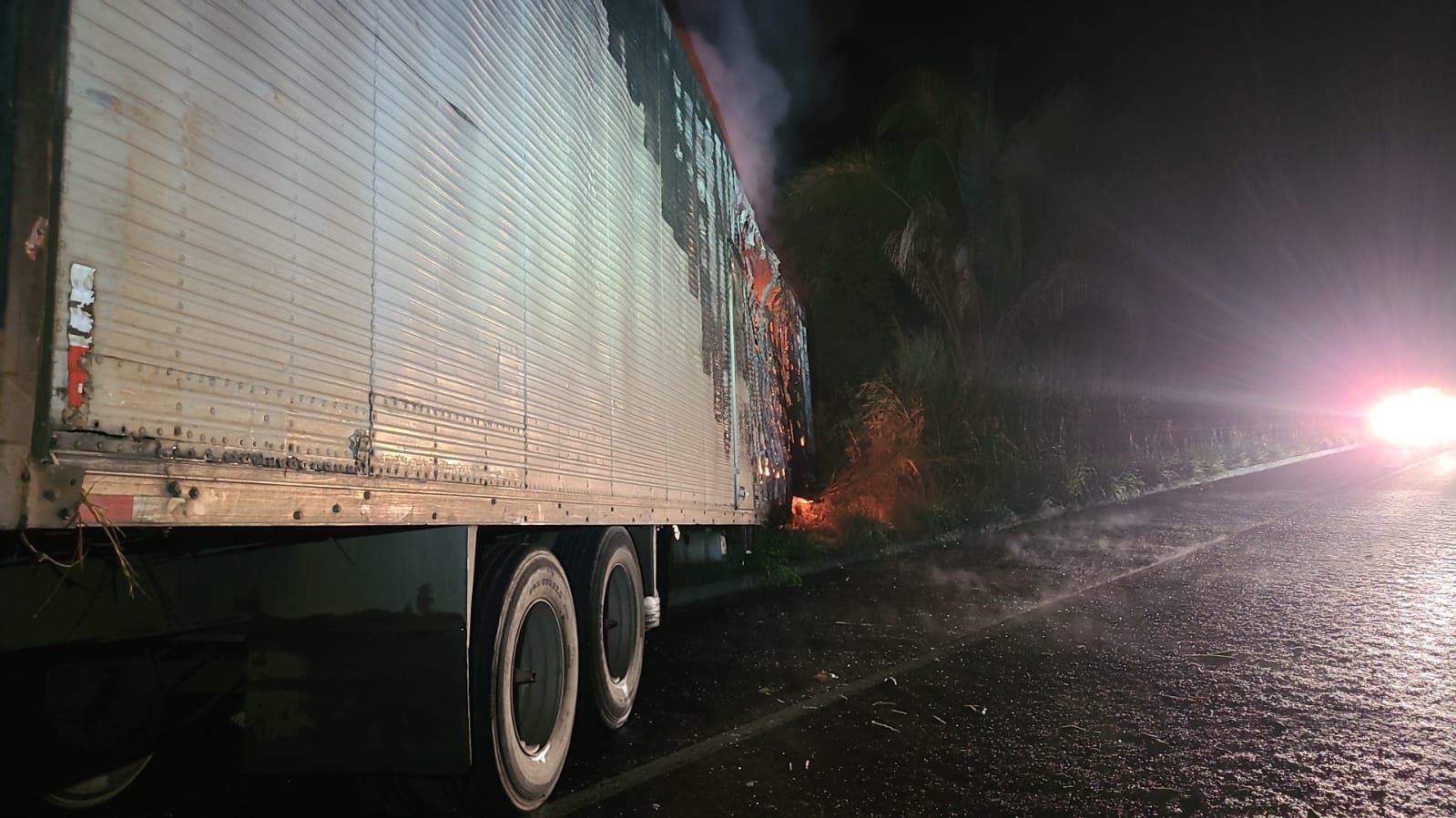 Motorista morre carbonizado após caminhão sair da pista e pegar fogo na BR-230 | Tocantins | G1