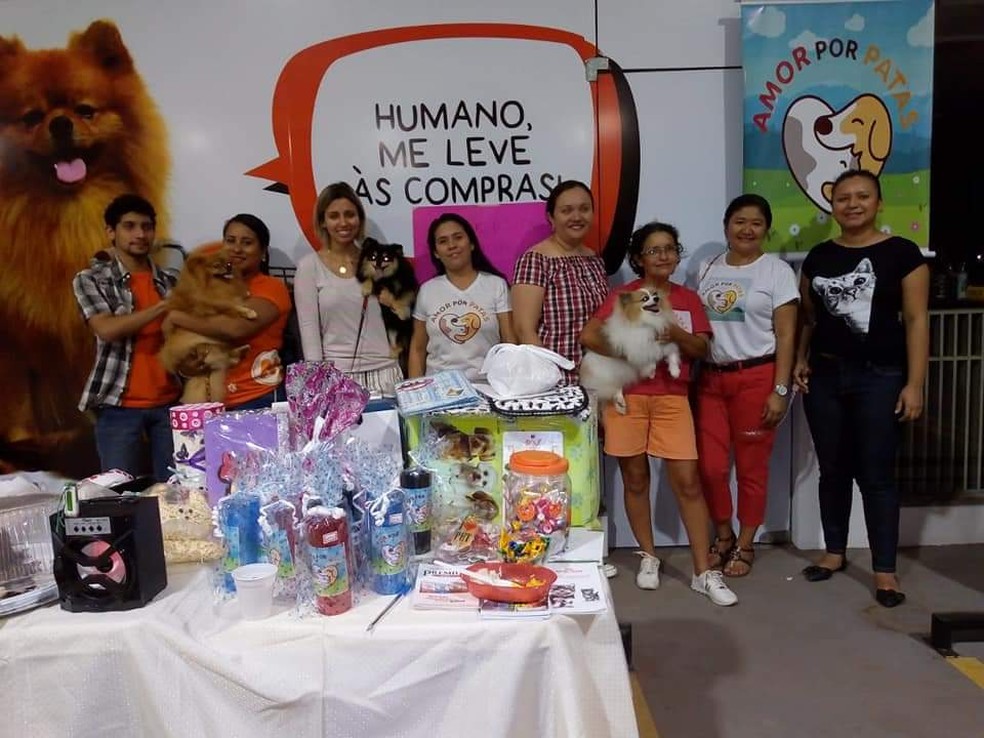 Ideias De Brinde Para Bingo Festa Junina - fundraisingnest.com