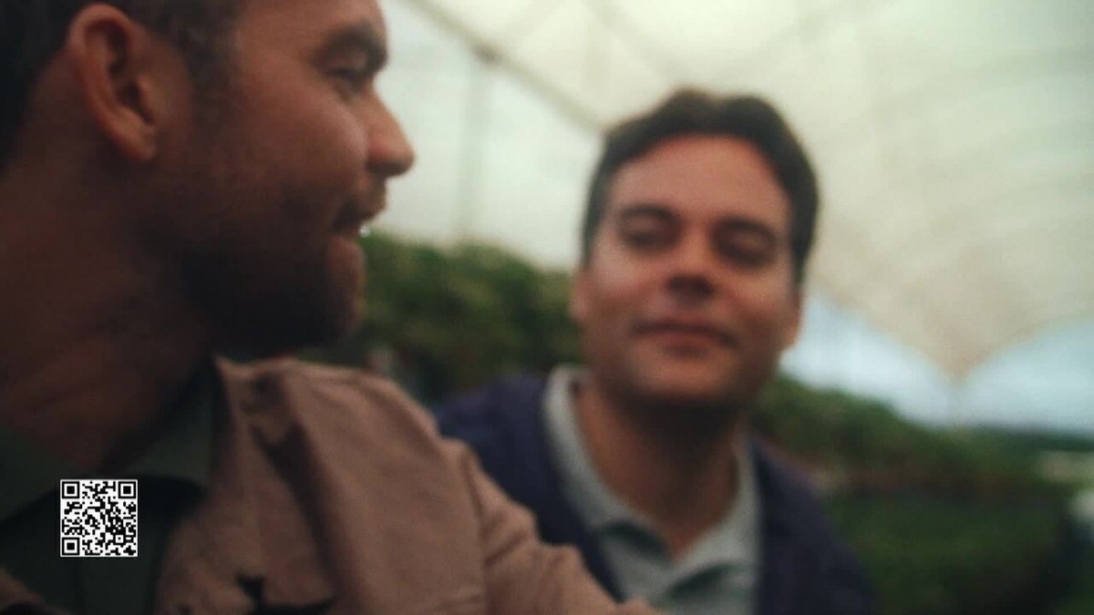 Irmãos Coluci produzem morango em Minas Gerais | Agro de gente pra ...