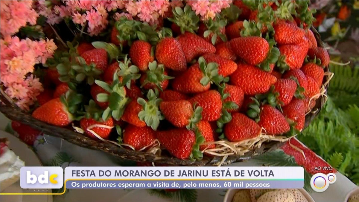 Tradicional Festa do Morango tem início neste fim de semana em Jarinu ...