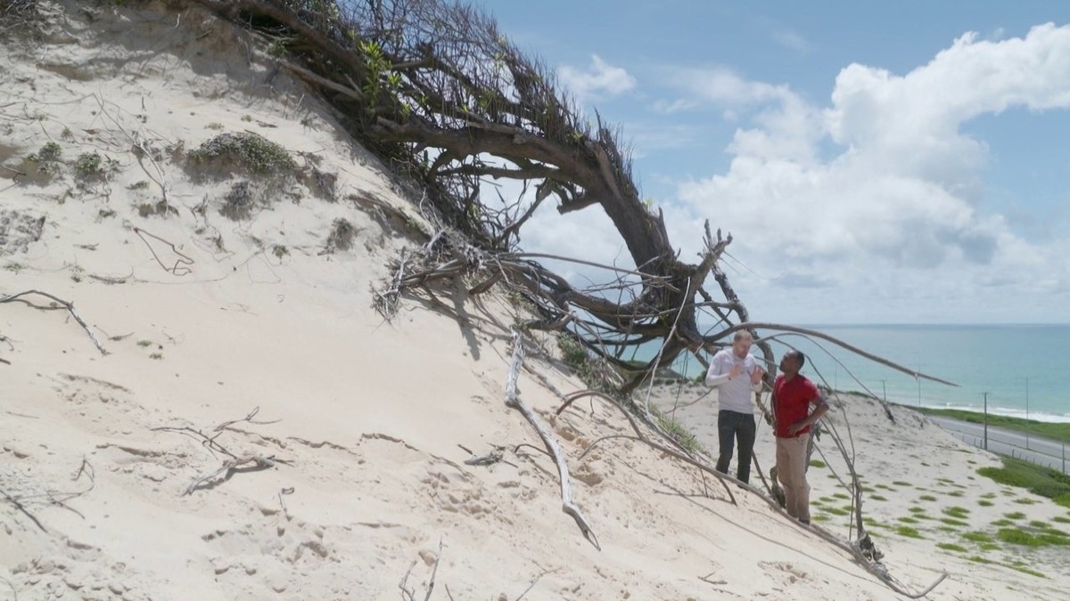 Como o vento impacta nossas vidas? | Como Será | G1