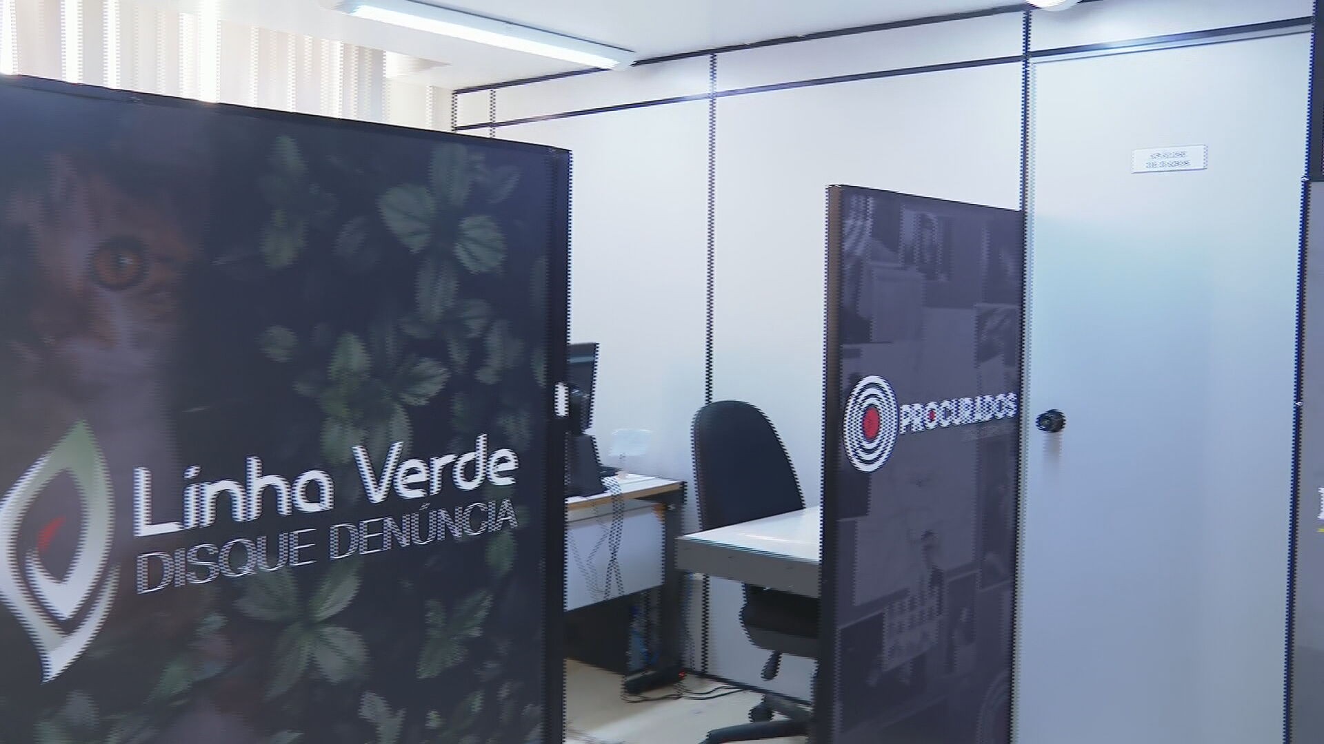 Disque Denúncia completa 30 anos com mais de 21 mil criminosos presos ...