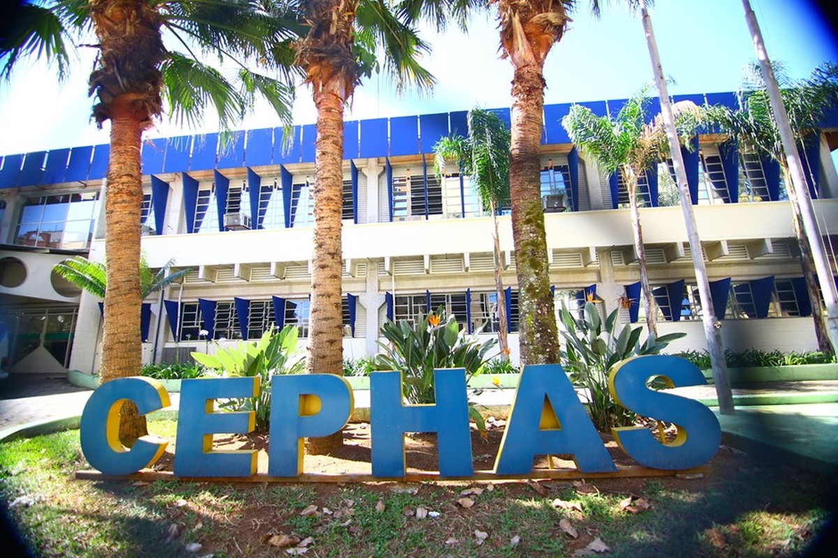 Cephas abre 3 mil vagas em cursos gratuitos de qualificação em São José ...