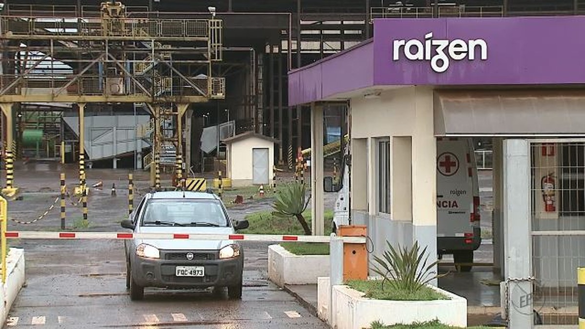 Raízen faz mutirão para preencher 120 vagas de emprego em Sertãozinho ...