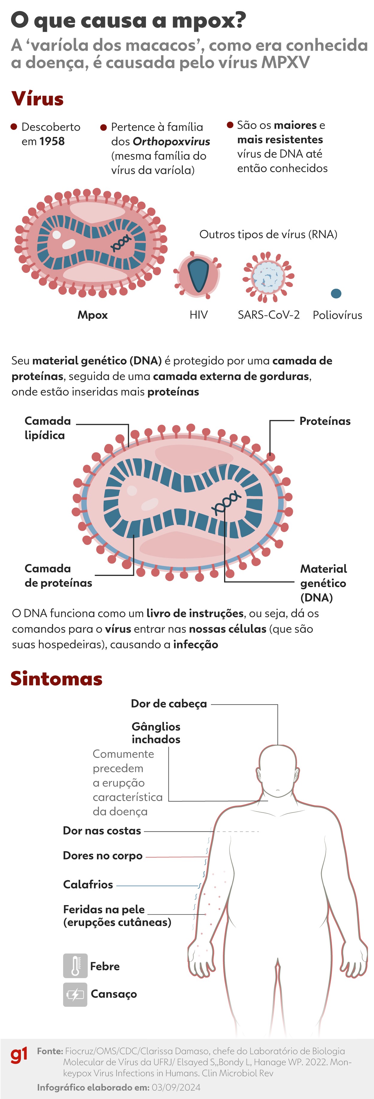Nova variante da mpox é detectada; SP registra 44 casos em 2026 | G1