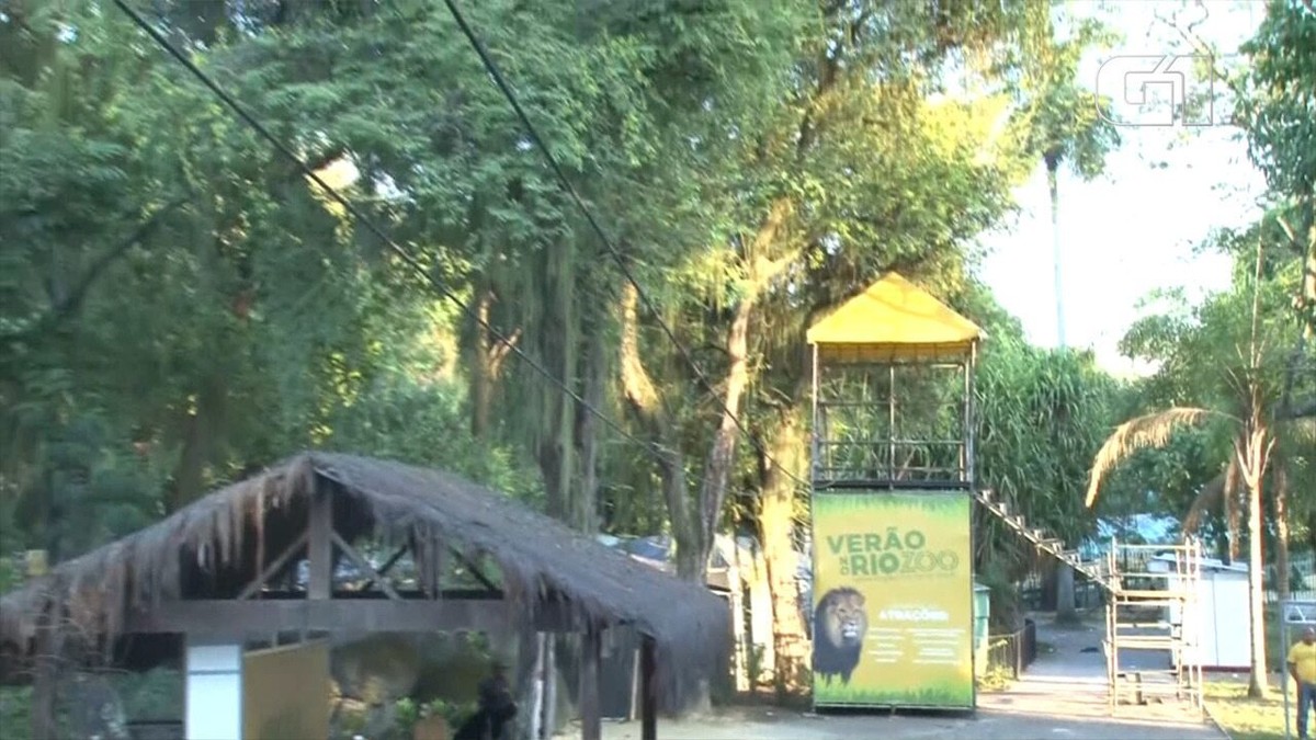 RioZoo inicia programação de verão | Rio de Janeiro | G1