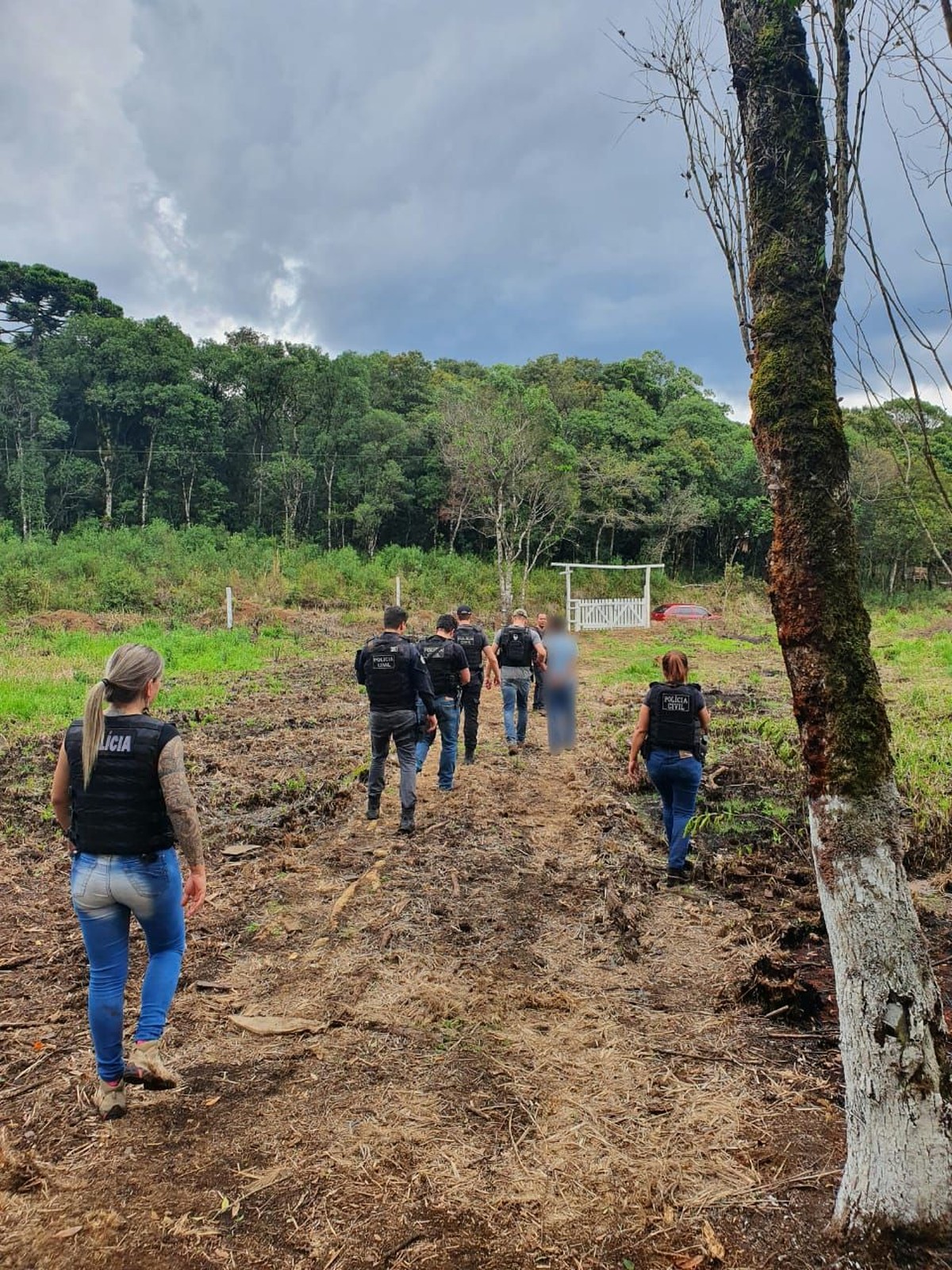 Jovem é Presa Em São José Dos Pinhais Suspeita De Participação Em Morte