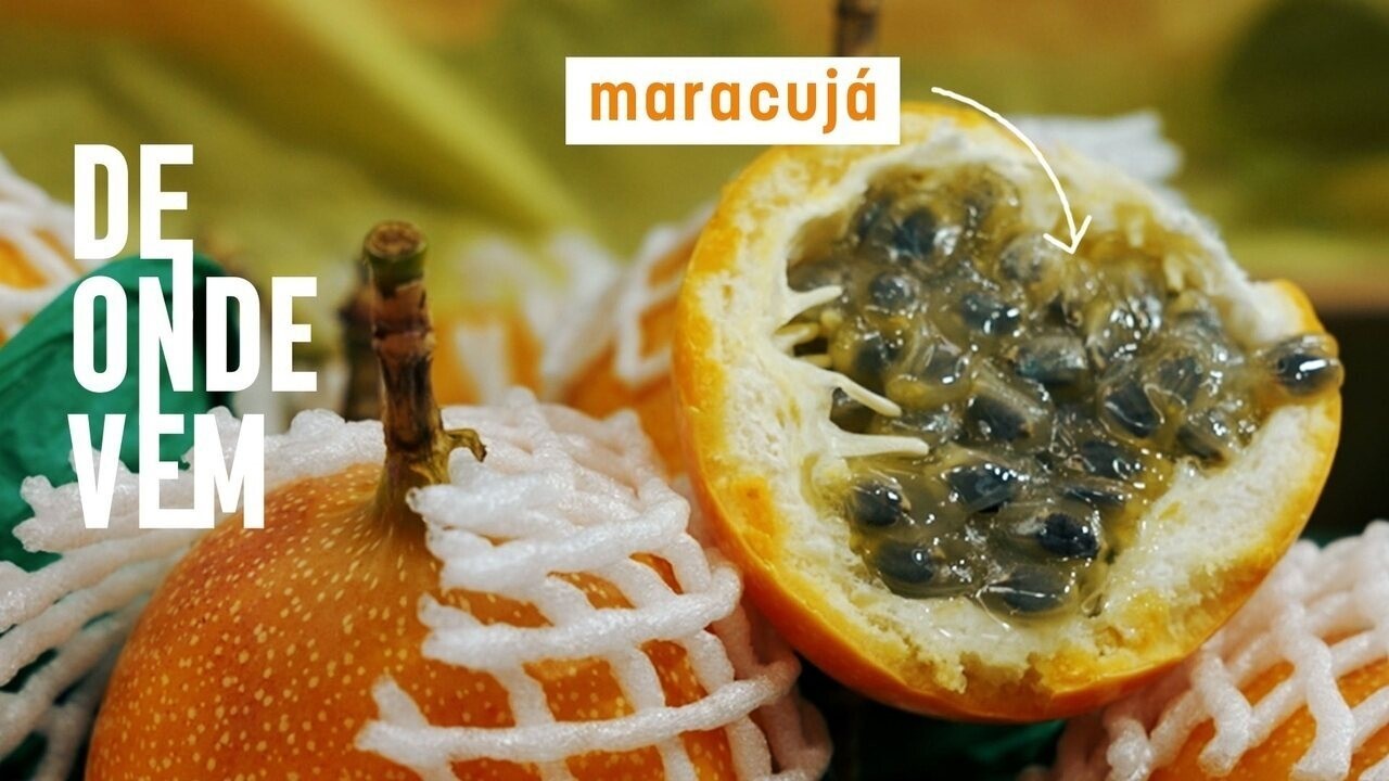 Ibama restringe uso de agrotóxico Tiametoxam para proteger abelhas ...