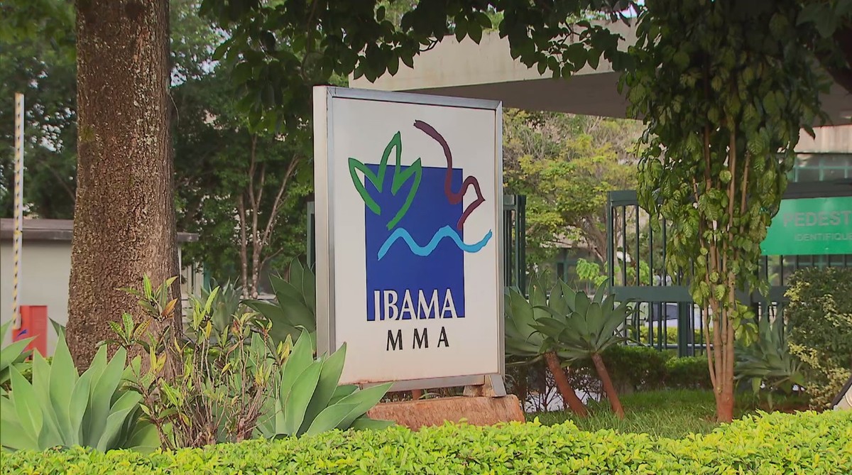 Ibama abre concurso público para 568 vagas, com salários de até R$ 8,5 ...