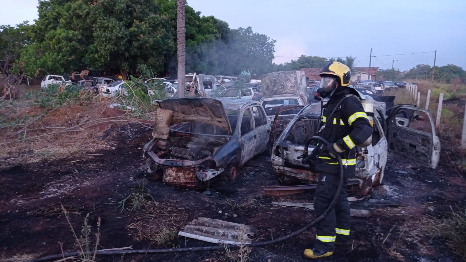 Incêndio em matagal se espalha, atinge ferro velho e destrói quatro ...