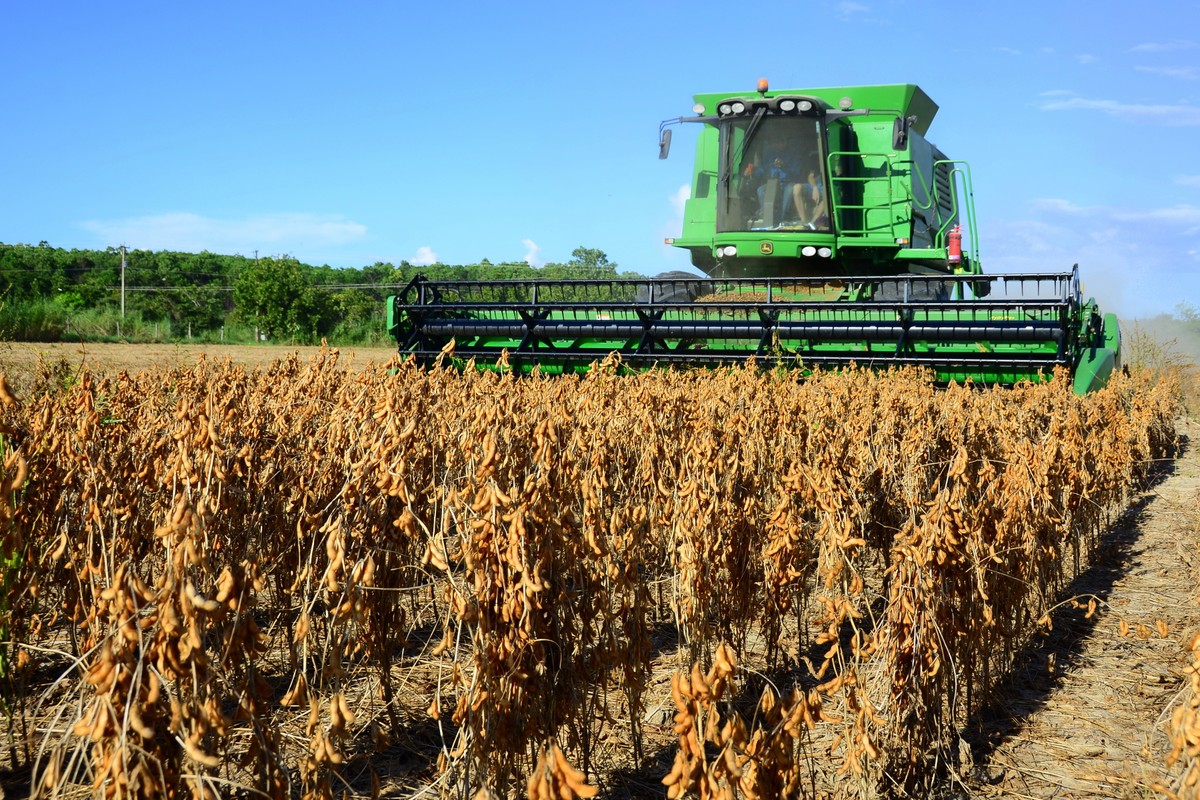 Produção de soja aumenta 191% em RR em quatro anos e deve bater novo ...