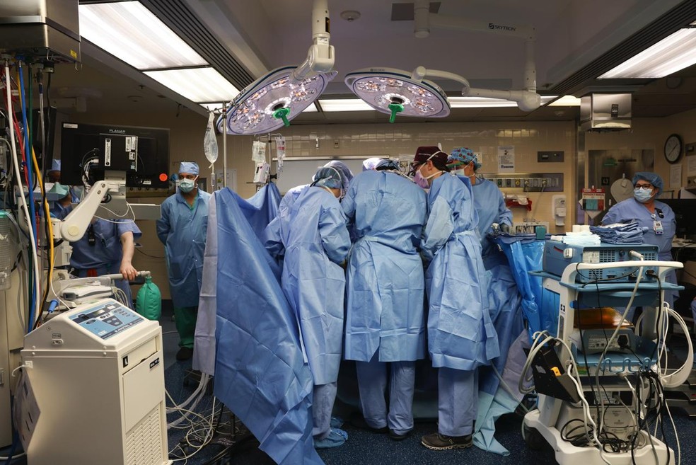 Quem é o médico brasileiro que liderou transplante inédito de rim de ...