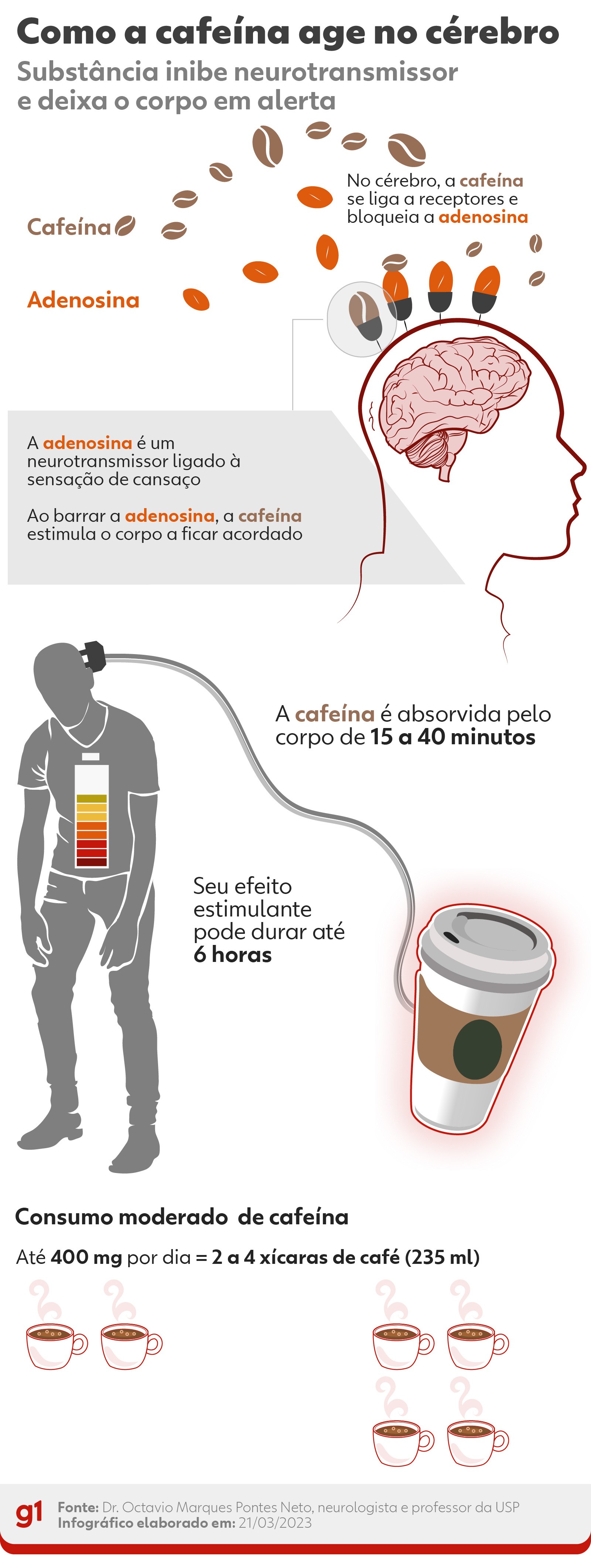 O café é uma trapaça: saiba como a cafeína 'engana' o cérebro e quantas ...