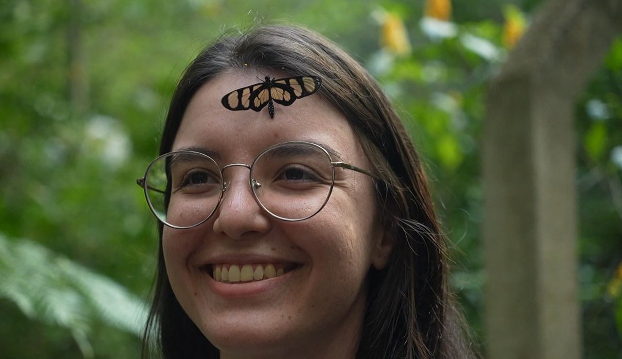 Conheça os personagens da nova campanha do Terra da Gente | Terra da ...