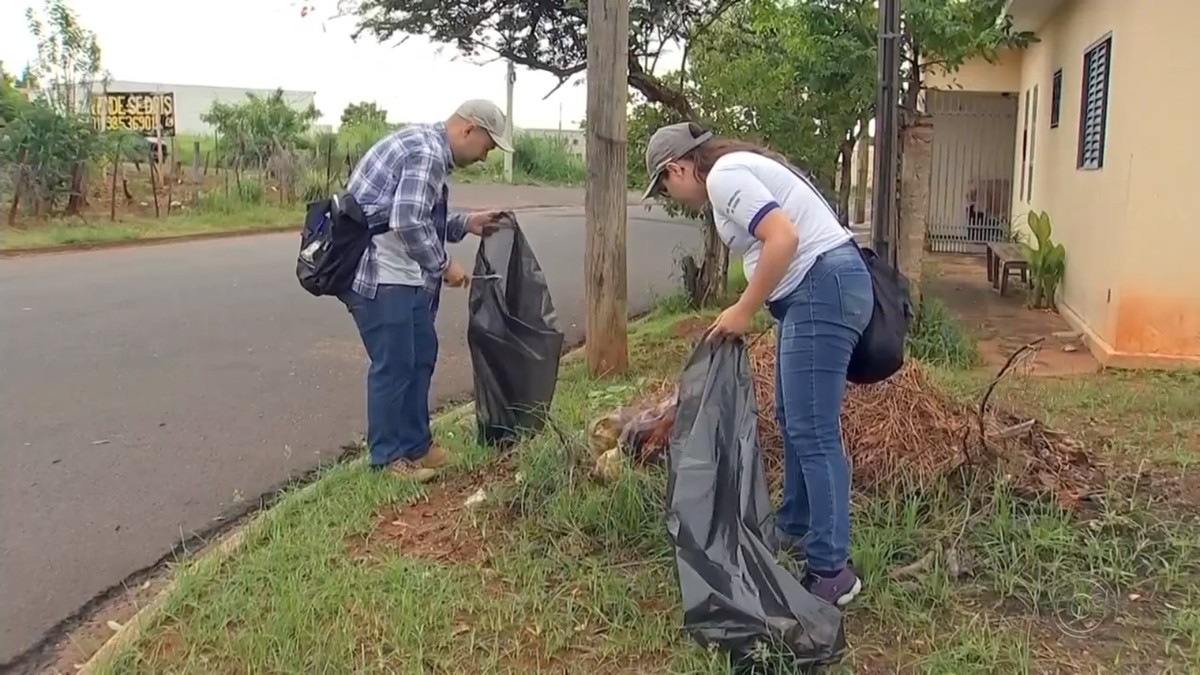 Agentes de saúde fazem mutirão para combater o mosquito da dengue em ...