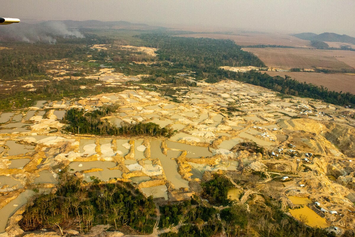 Denúncia de destruição: imagens revelam avanço de garimpo ilegal na ...