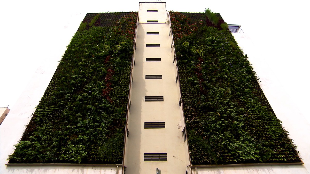 Câmara aprova projeto para instalação de jardins verticais em viadutos ...