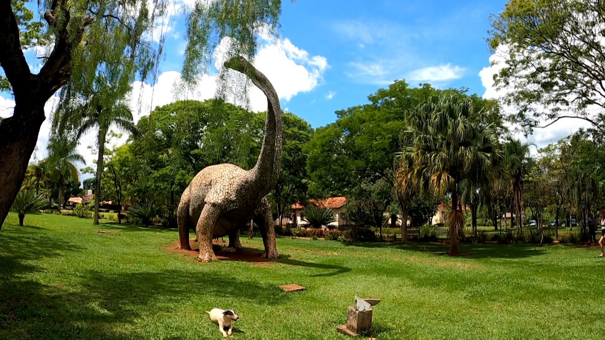 Geoparque: entenda o que é o título internacional pleiteado por Uberaba ...