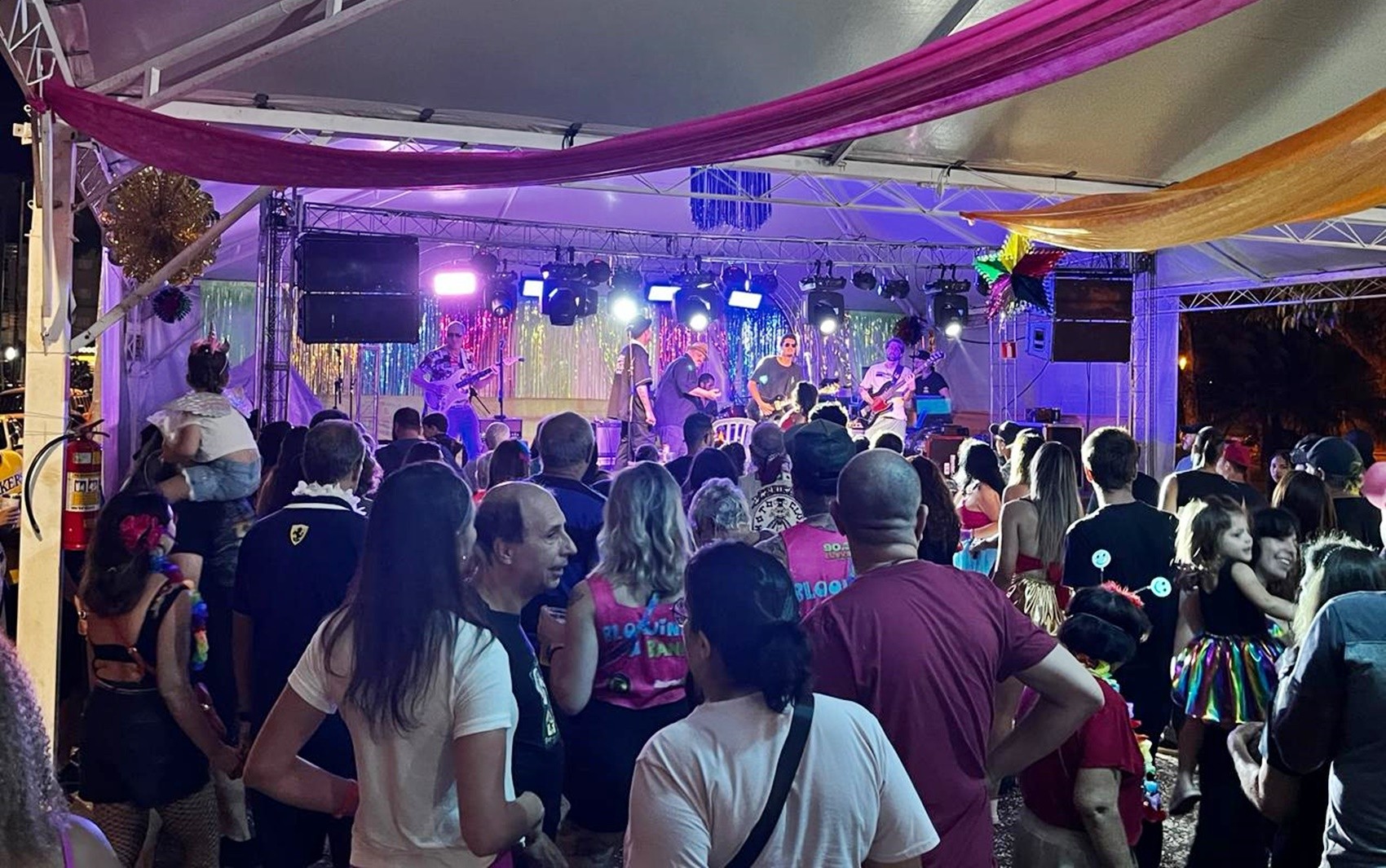 Carnaval 2024: Veja fotos e confira como foi a folia no Sul de Minas | G1