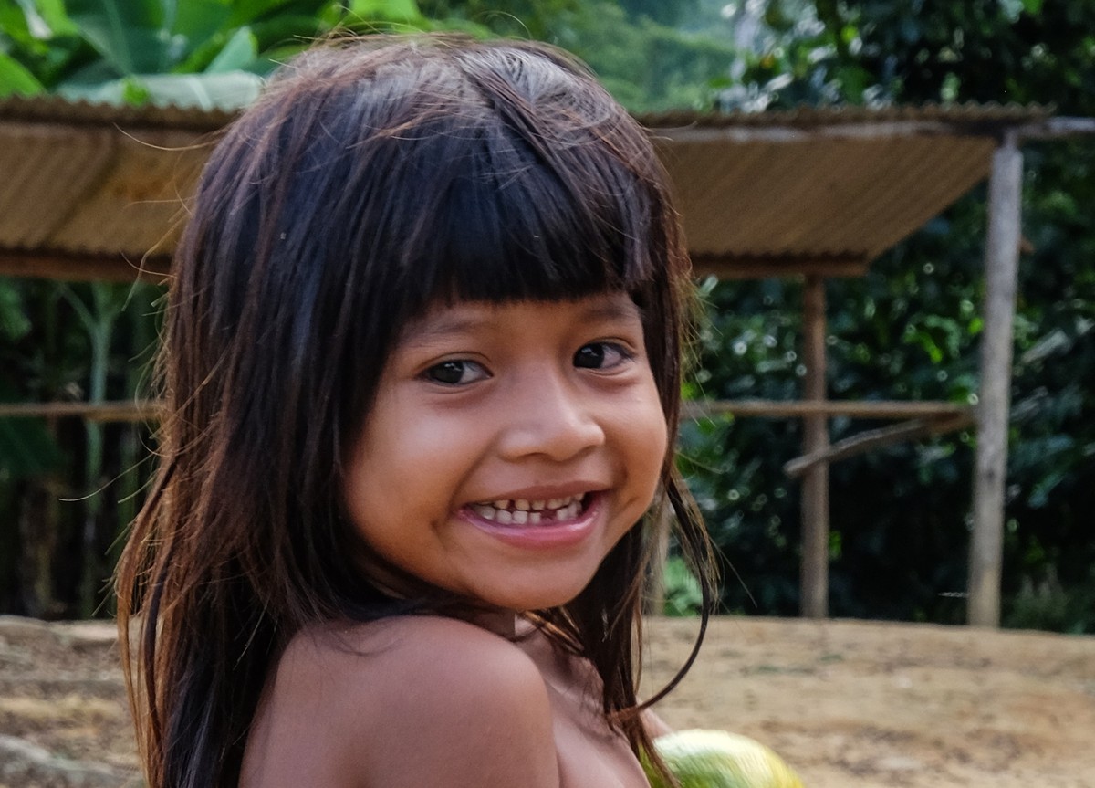 Censo do IBGE: mais de 2 mil pessoas se declaram indígena no Sul e ...