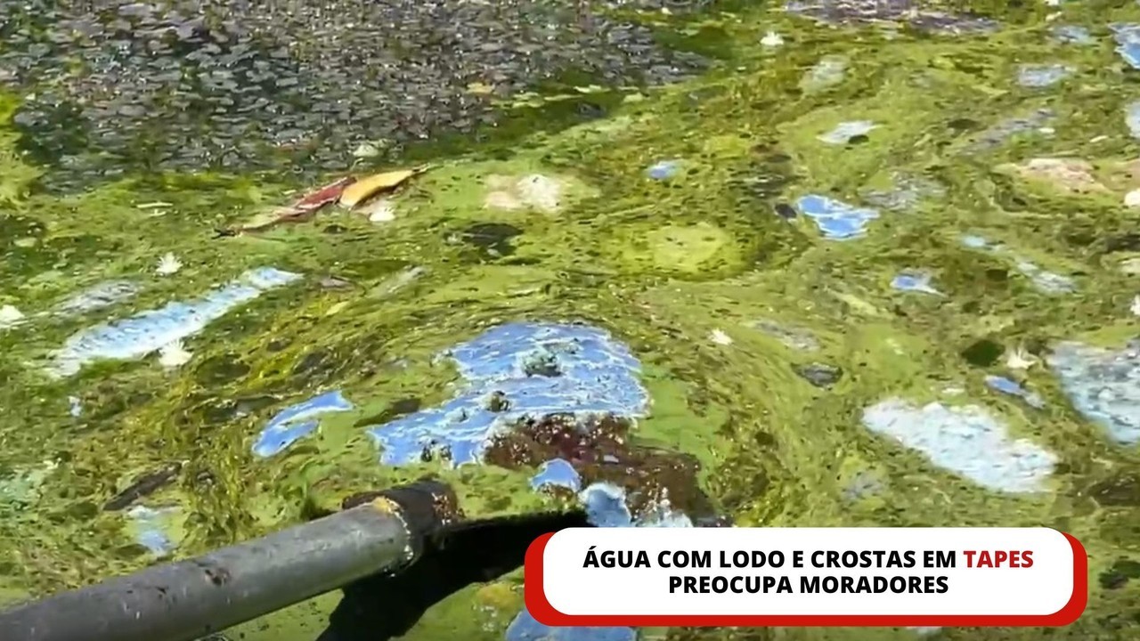 Água com lodo, crostas e cheiro ruim em riacho preocupa pescadores de ...