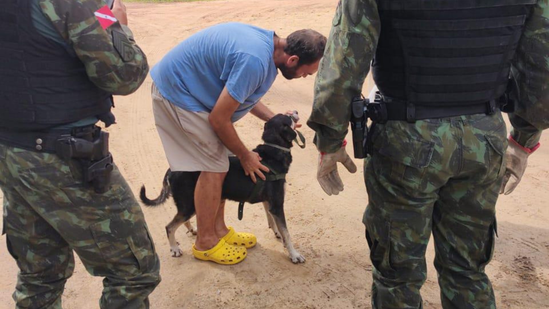 Cachorro é atacado por jararaca no Instituto Evandro Chagas, na Grande Belém | G1