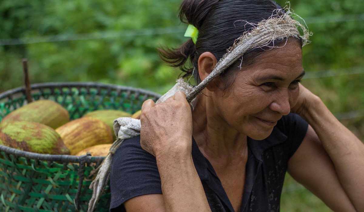 Comunidade ribeirinha do AM usa práticas agrícolas semelhantes às de ...