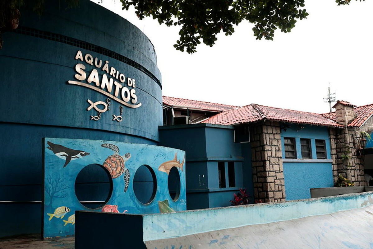 Aquário de Santos segue fechado após obra avançar 9%; contrato rompido | G1