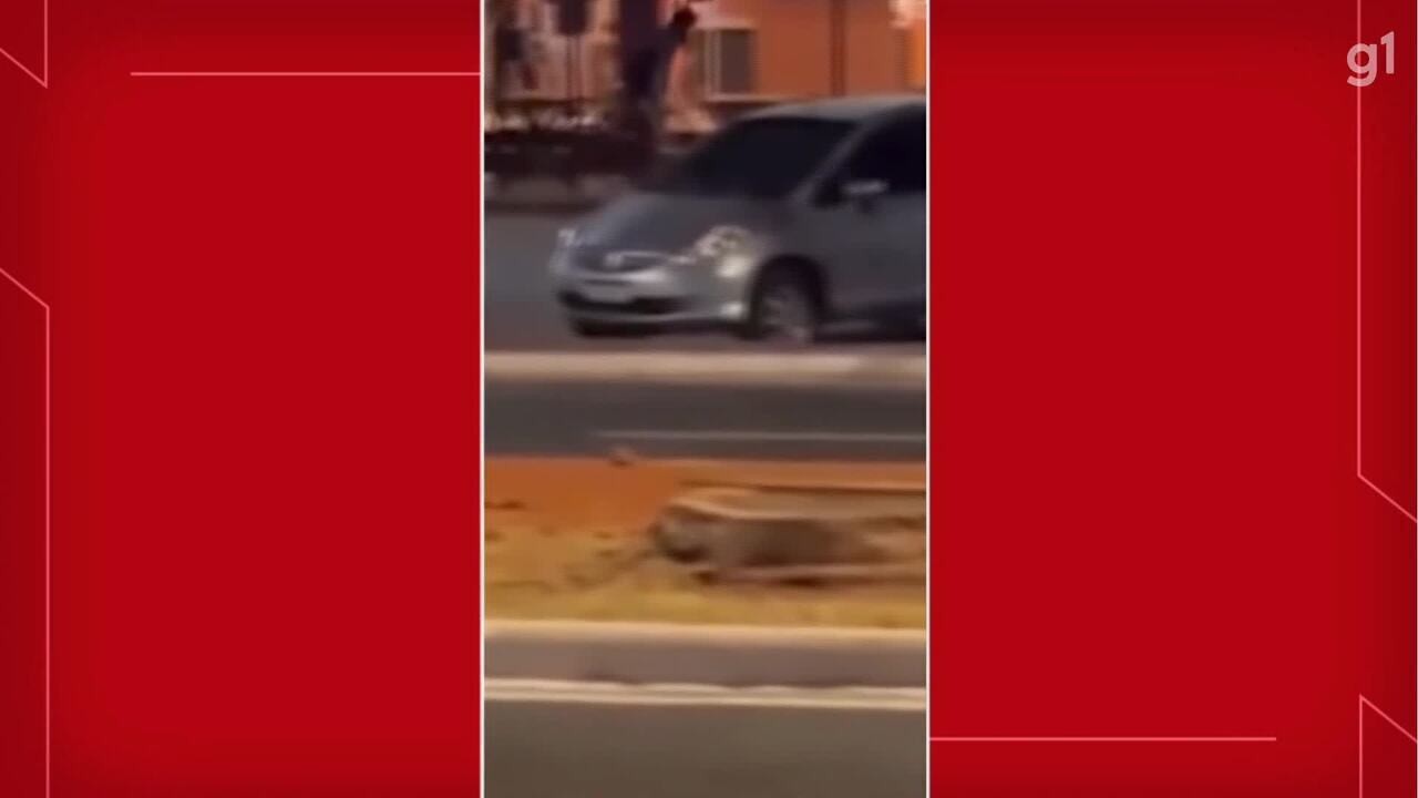 VÍDEO: homem é atropelado por carro de luxo no DF; polícia tenta identificar motorista e vítima ...