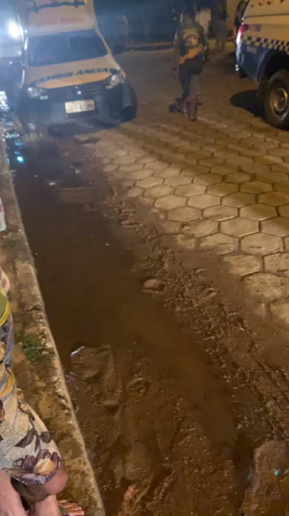 Jovem de 15 anos morre após perder o controle de motocicleta e ser atropelado por ônibus escolar ...